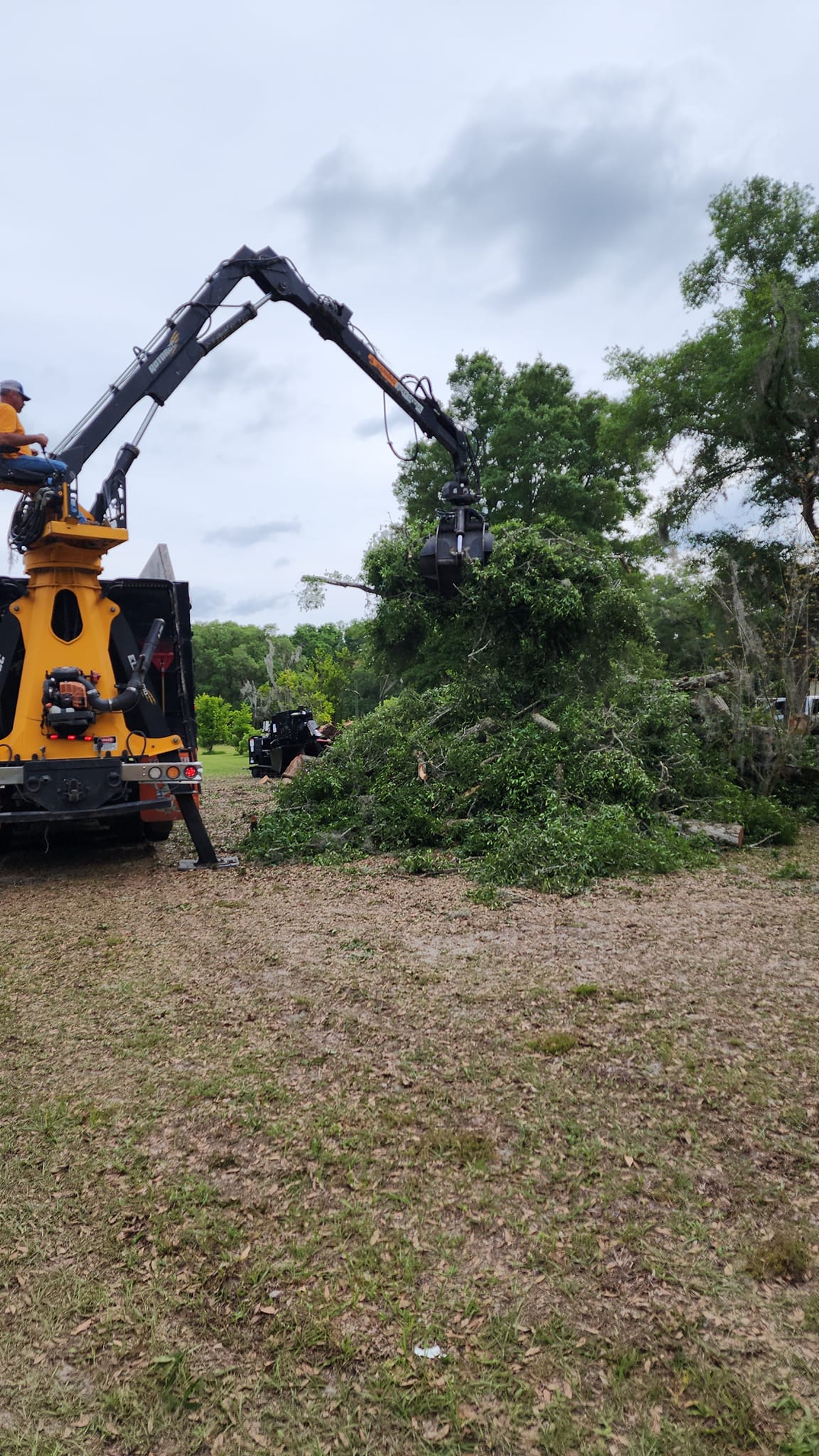 Land Clearing Gainesville, FL | Brush, Debris & Tree Removal