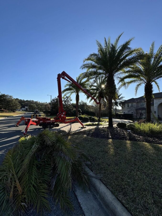 Easy Treesy Outdoor Services – Your Central Florida tree service experts.